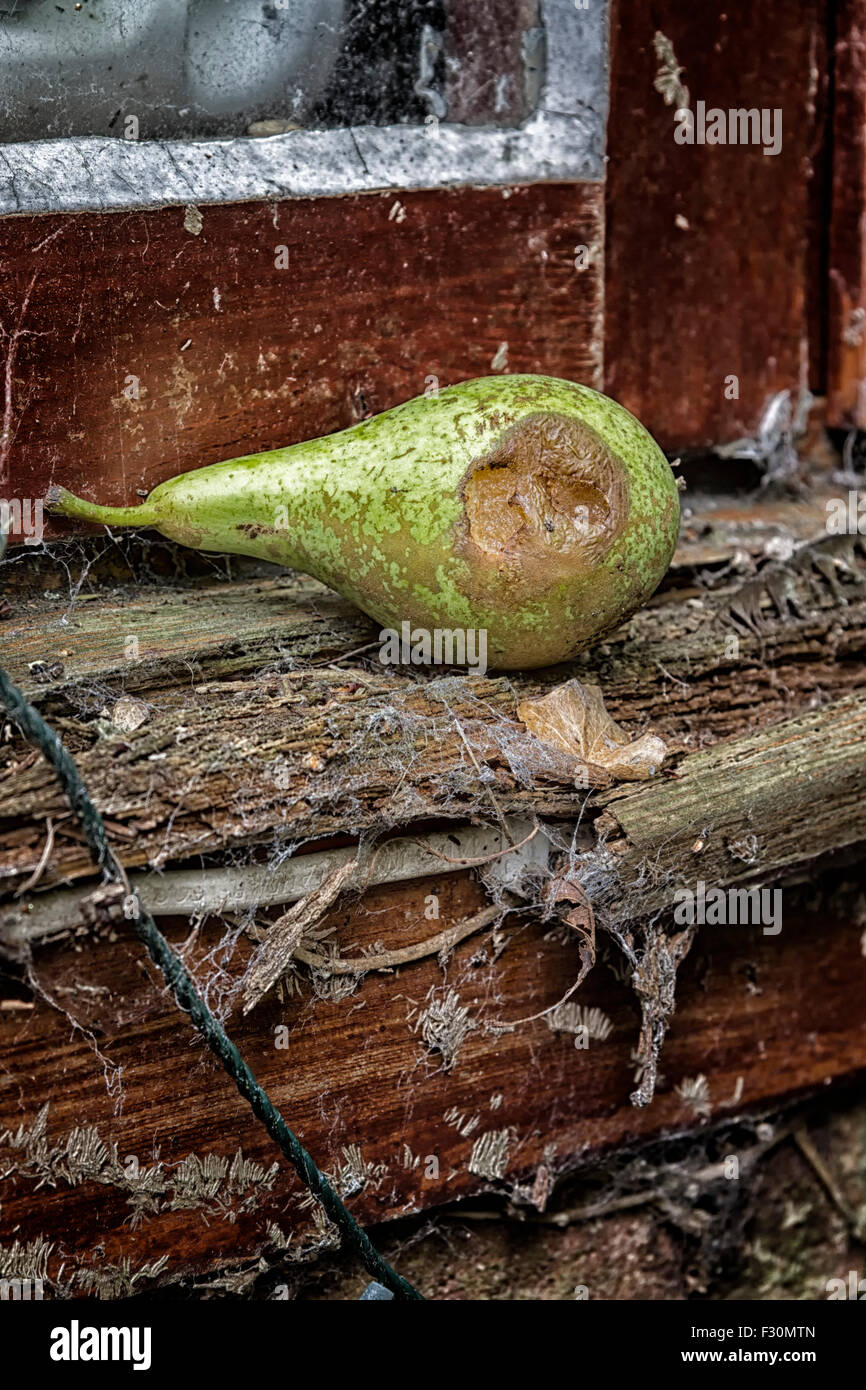 Rotten pear hi-res stock photography and images - Alamy