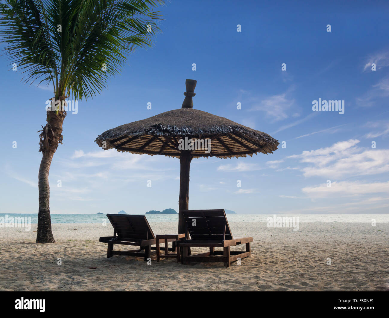 Bench on the beach and coconut tree overlooking the sea Stock Photo - Alamy