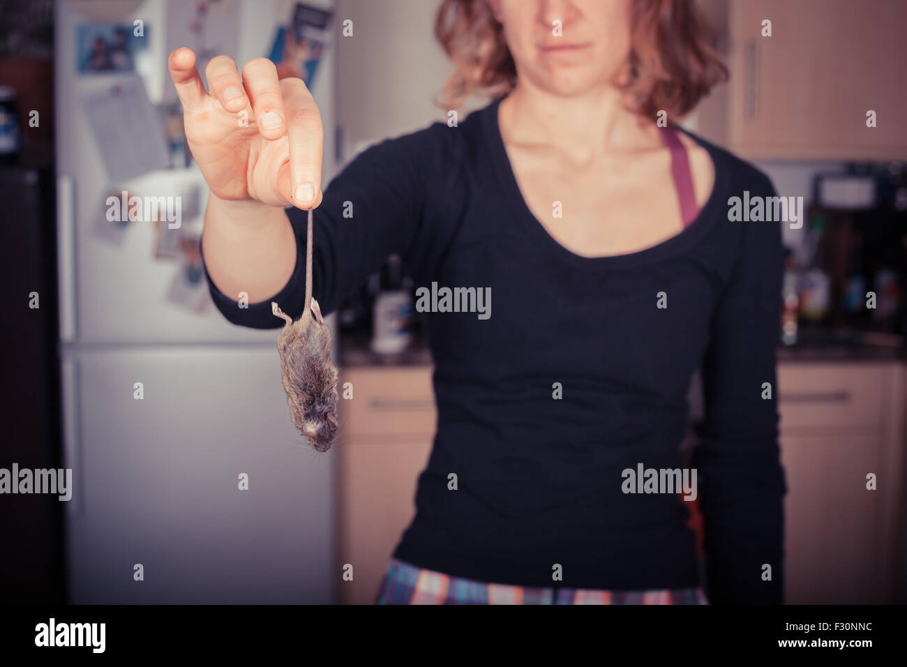 Hand holding mouse tail hi-res stock photography and images - Alamy