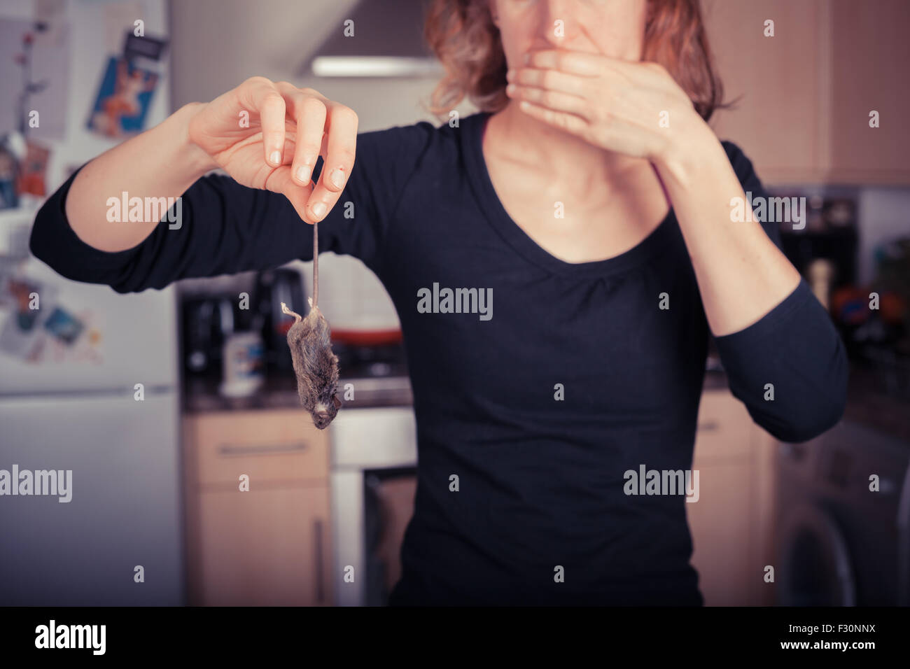 Hand Holding Mouse Tail High Resolution Stock Photography and Images ...