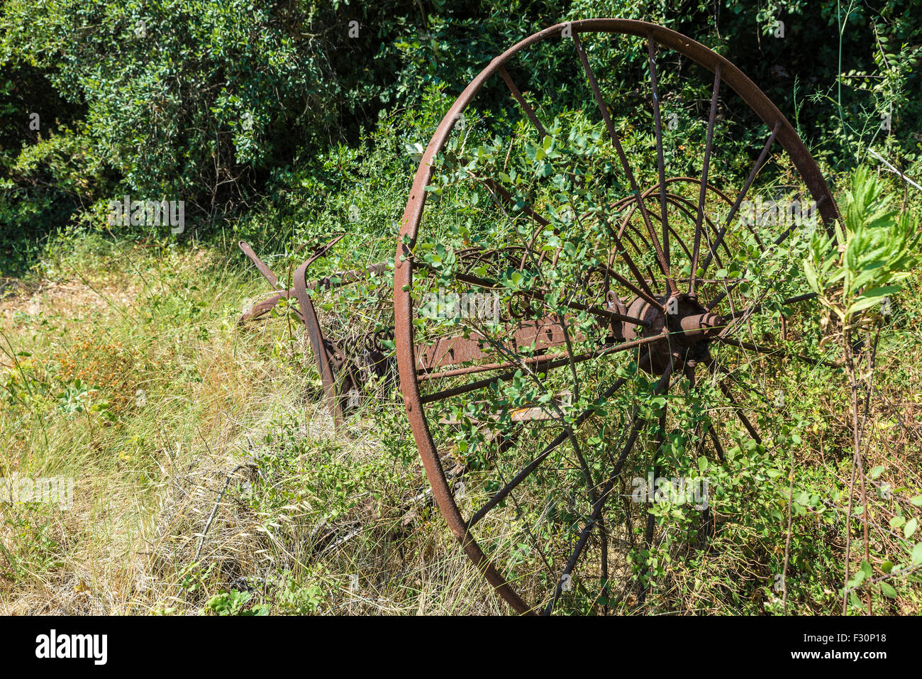Abandoned old plow in a field Stock Photo - Alamy