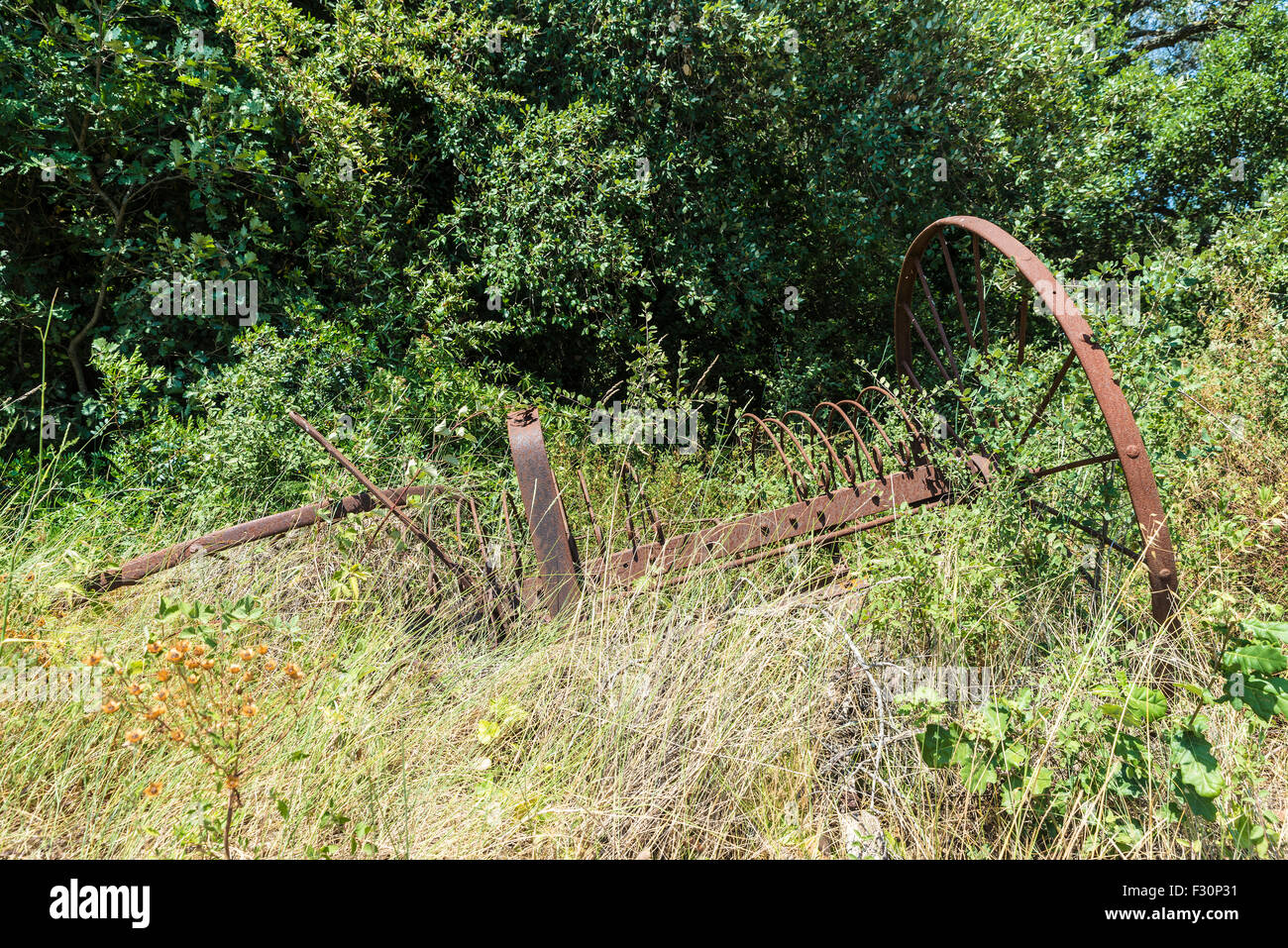 Abandoned old plow in a field Stock Photo - Alamy