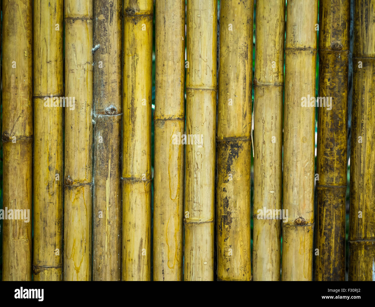 Bamboo fence with natural patterns, Background, Texture Stock Photo - Alamy