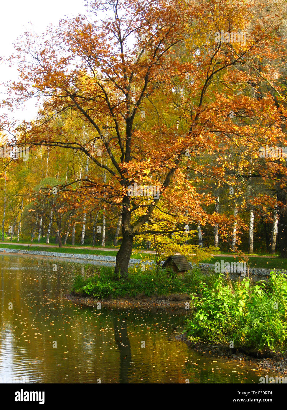 Autumn landscape - little island on pond with red tree and bird's house ...