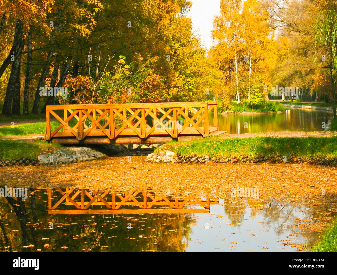 Autumn landscape, bridge on pond in park, golden birch forest around ...