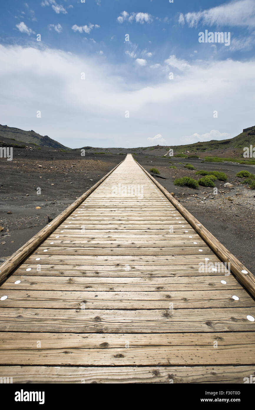 Timber boardwalk pathway hi-res stock photography and images - Alamy