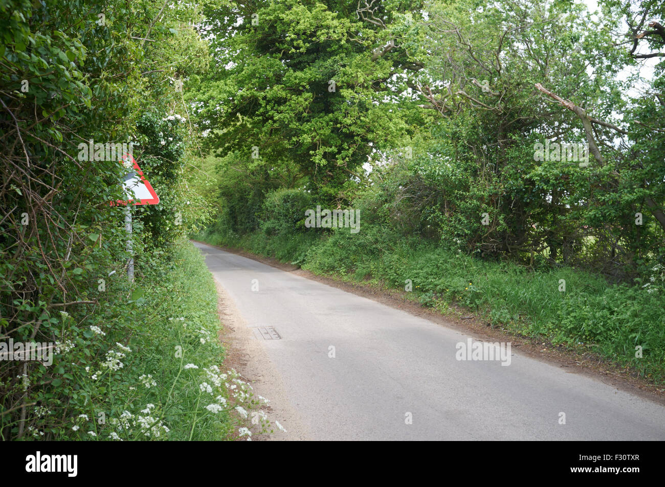 Hidden righthand bend road sign Stock Photo - Alamy