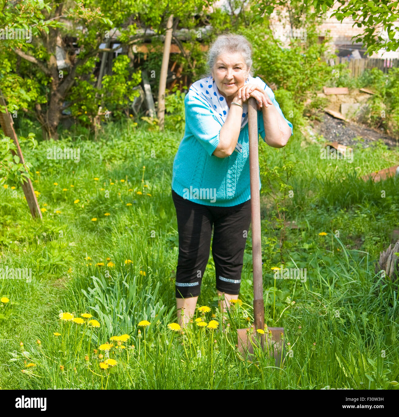 Old lady working in garden hi-res stock photography and images - Alamy