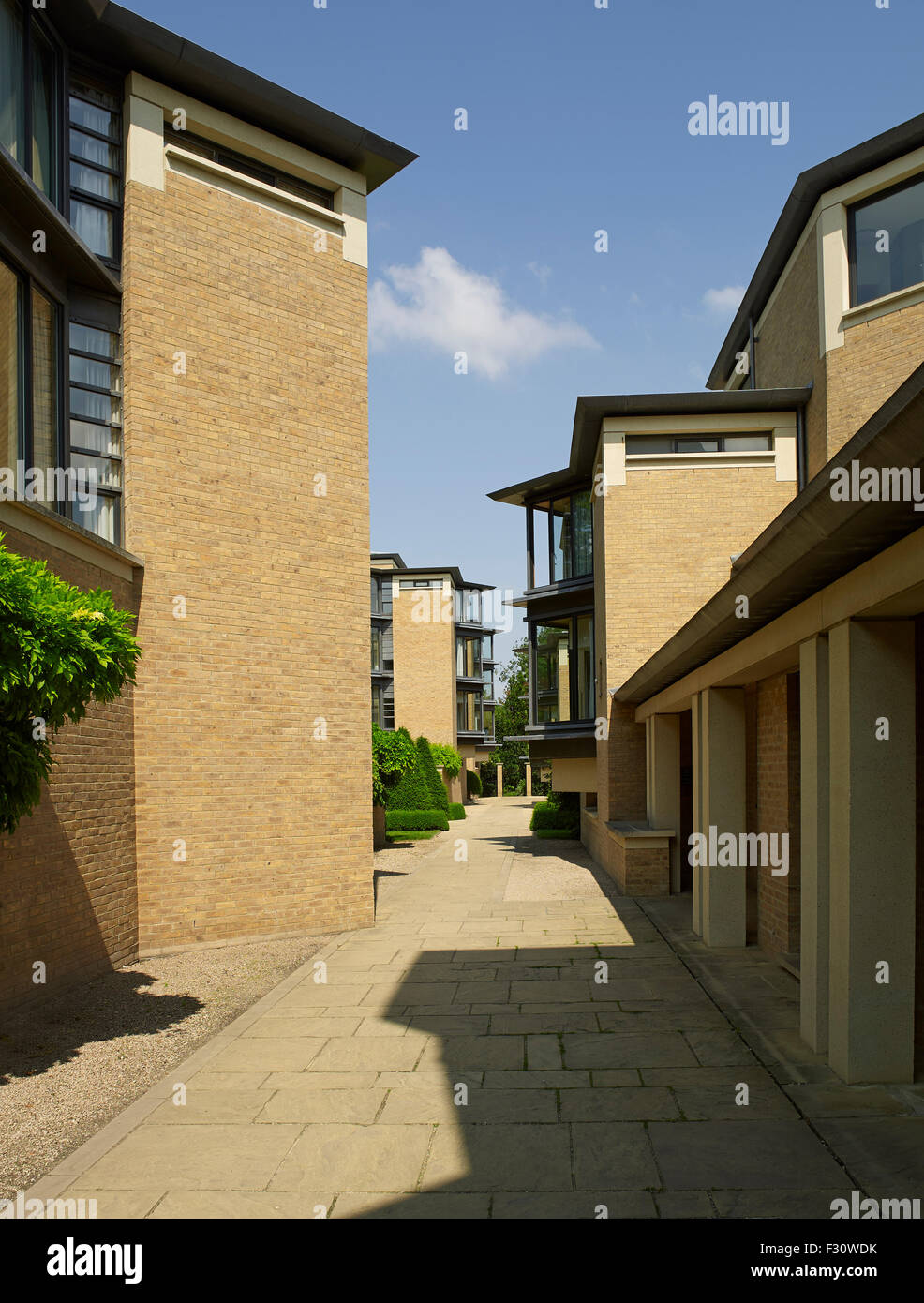 Cambridge, Trinity College, Burrell's Field Stock Photo - Alamy