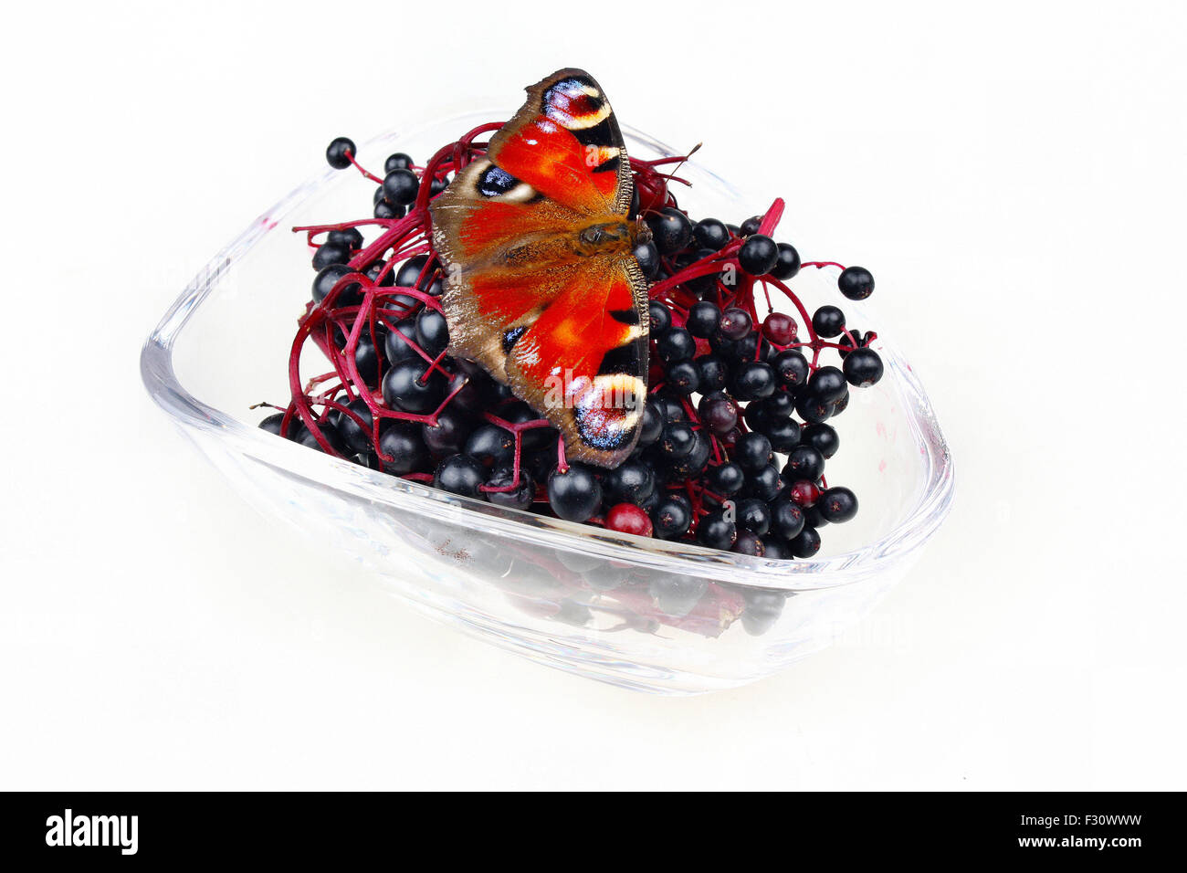 Fresh fruit elderberry and butterfly on white isolated background Stock ...