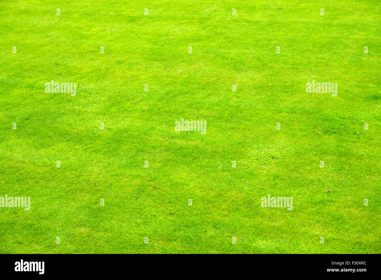 Background of some very green english grass Stock Photo - Alamy