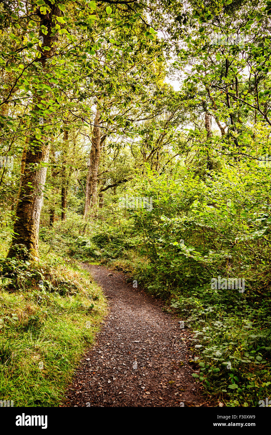 Walking the west highland way scotland hi-res stock photography and ...