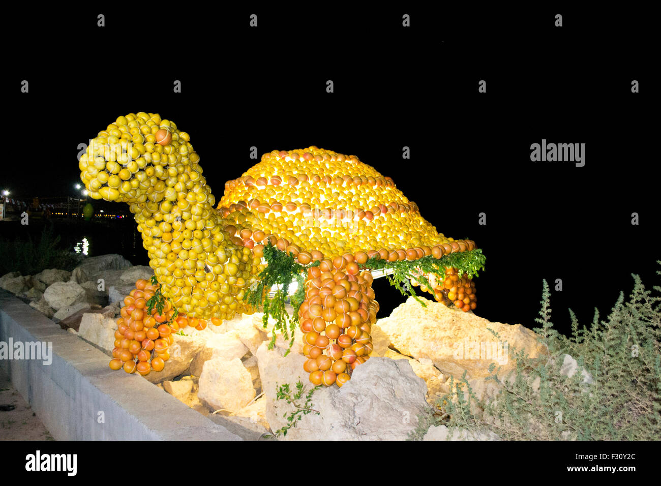 A tortoise in a festival made of oranges,mandarins and lemons Stock ...