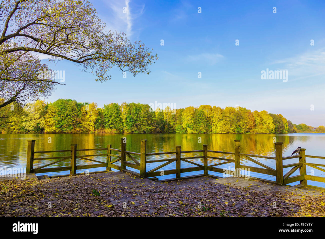 Wooden Pier with the Fence and Fallen Leaves on Wood Floor at Lake ...