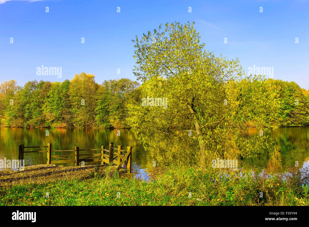 Autumn Landscape with Lake Surrounded By Colourful Trees in Sunlights ...