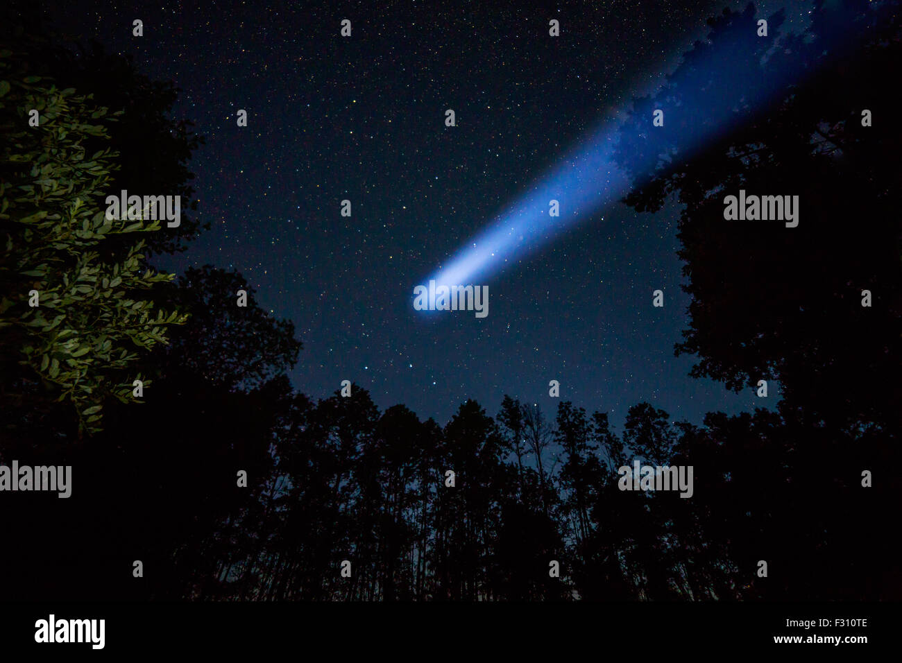Comet in night sky and trees on background Stock Photo - Alamy