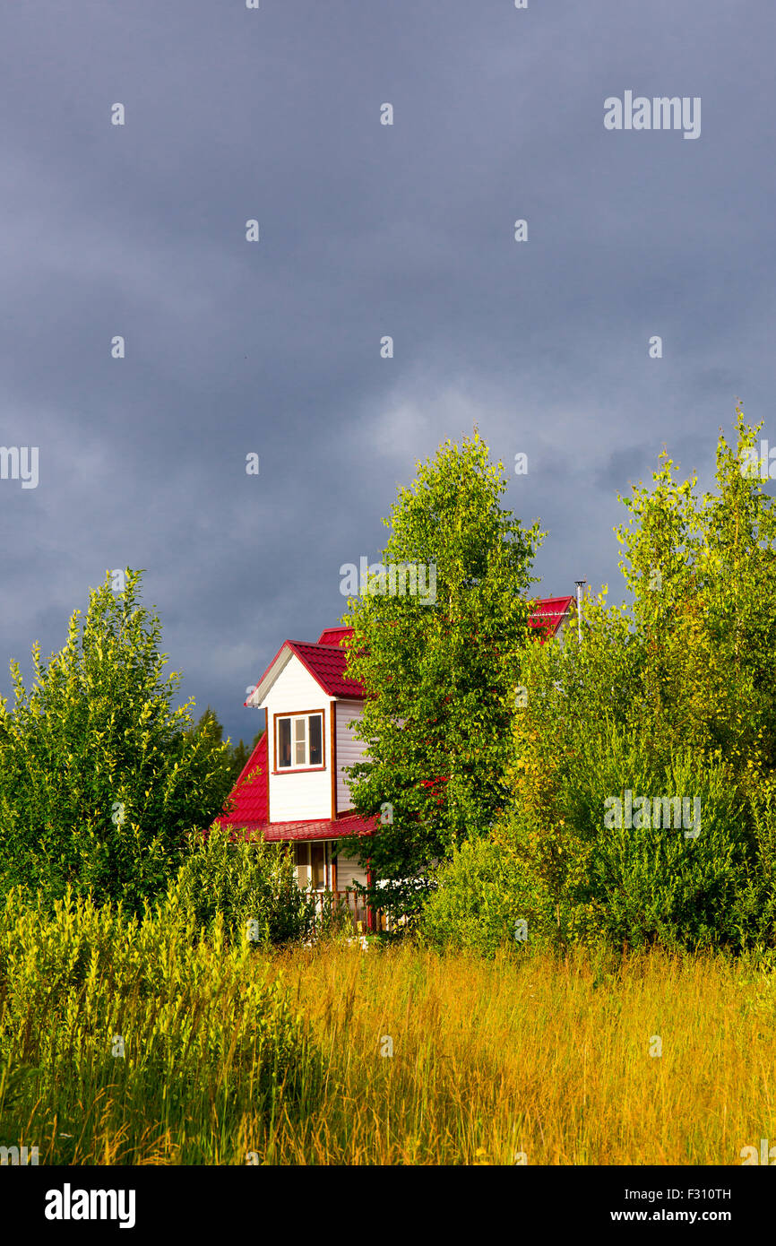 Hiding among trees hi-res stock photography and images - Alamy