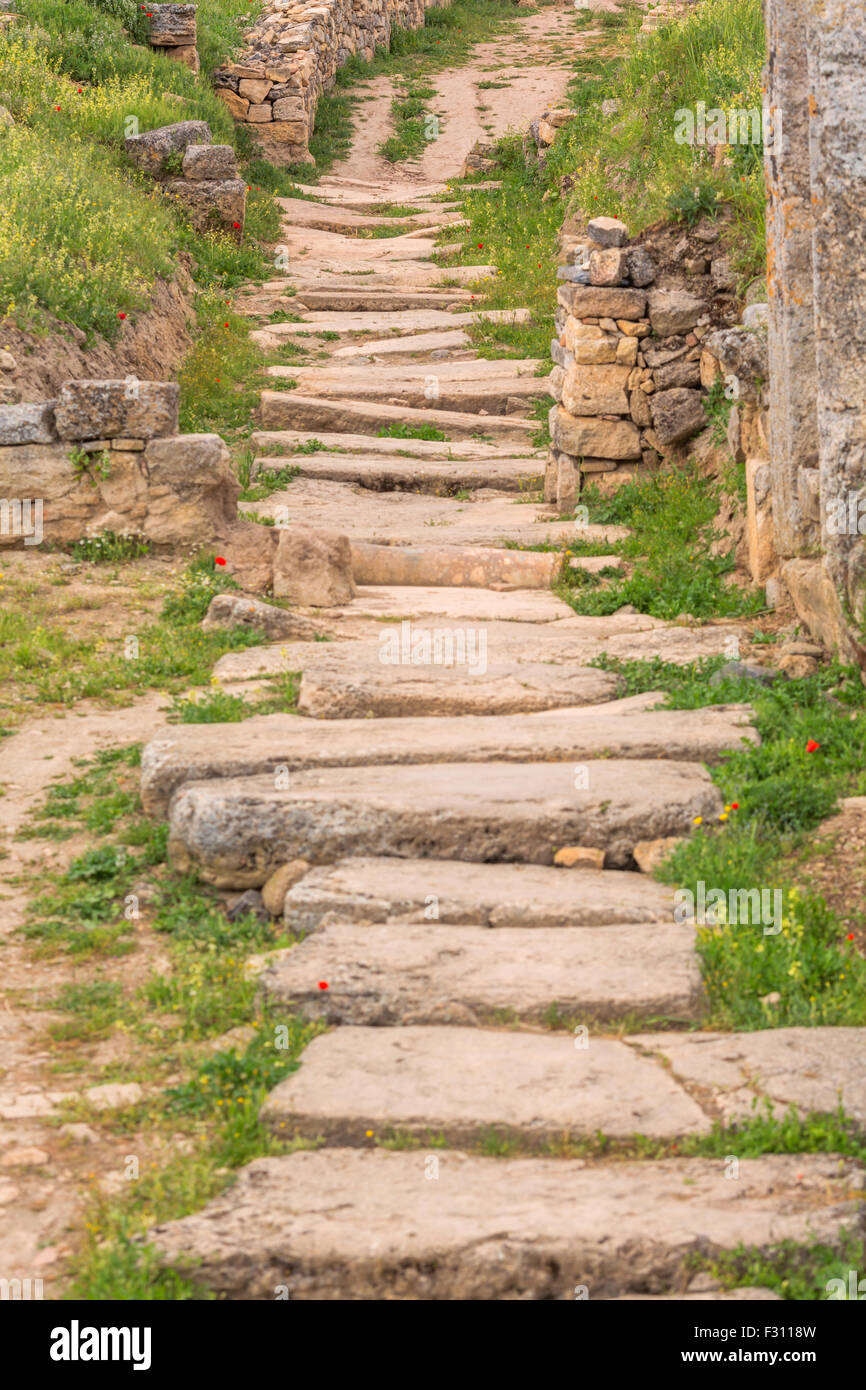 Ancient medieval street paved cobblestones hi-res stock photography and ...