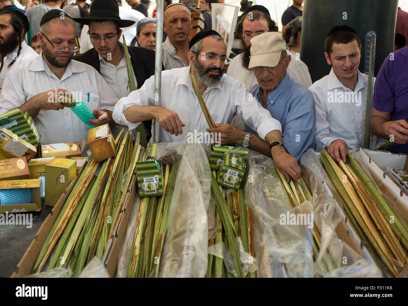 Rui plant hi-res stock photography and images - Alamy