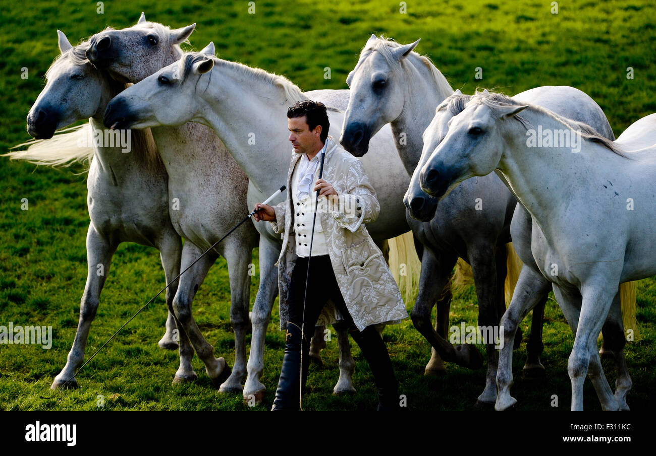 Vincent Liberator of France performs with horses during his show ...
