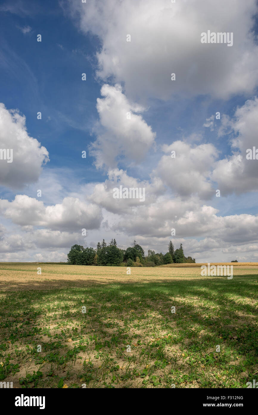 White cumulus clouds in the blue sky over autumn fields Lower Silesia ...