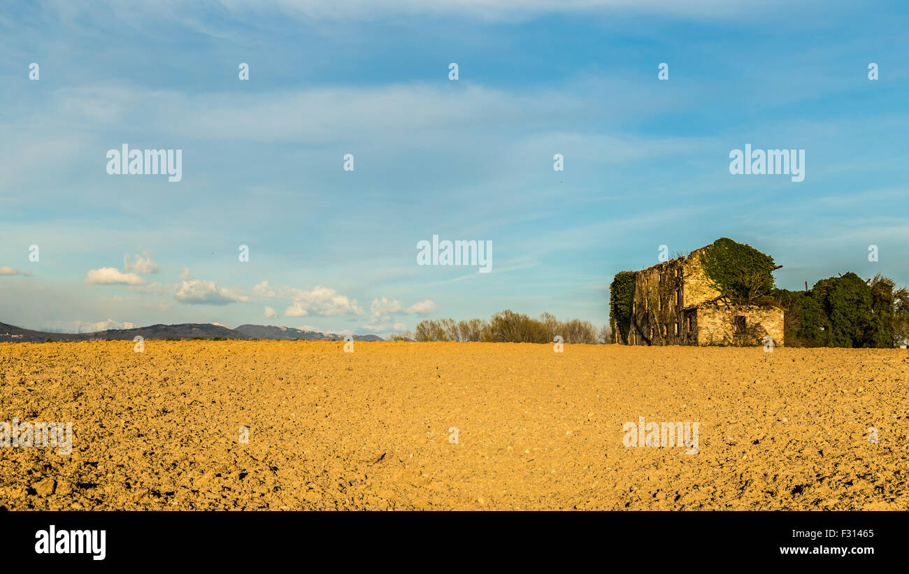 an abandoned and ruined farm in the fields of Italy Stock Photo - Alamy