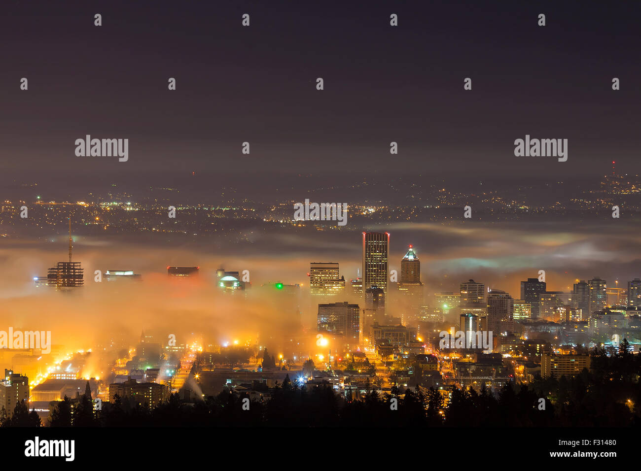 Fog low hi-res stock photography and images - Alamy