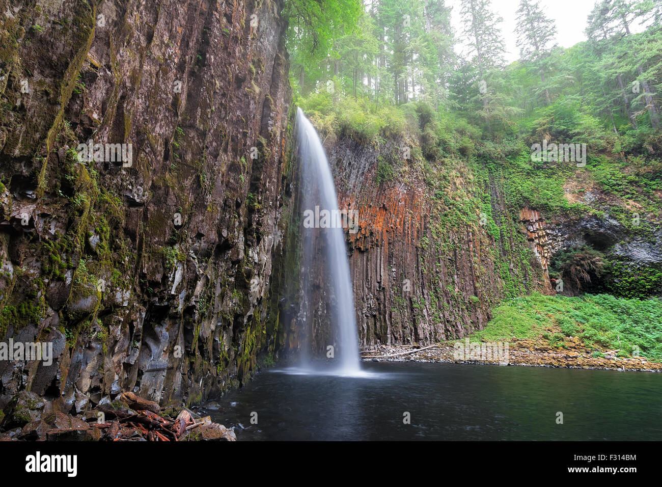 Abiqua Falls Side View in Oregon with Early Morning Fog Stock Photo - Alamy