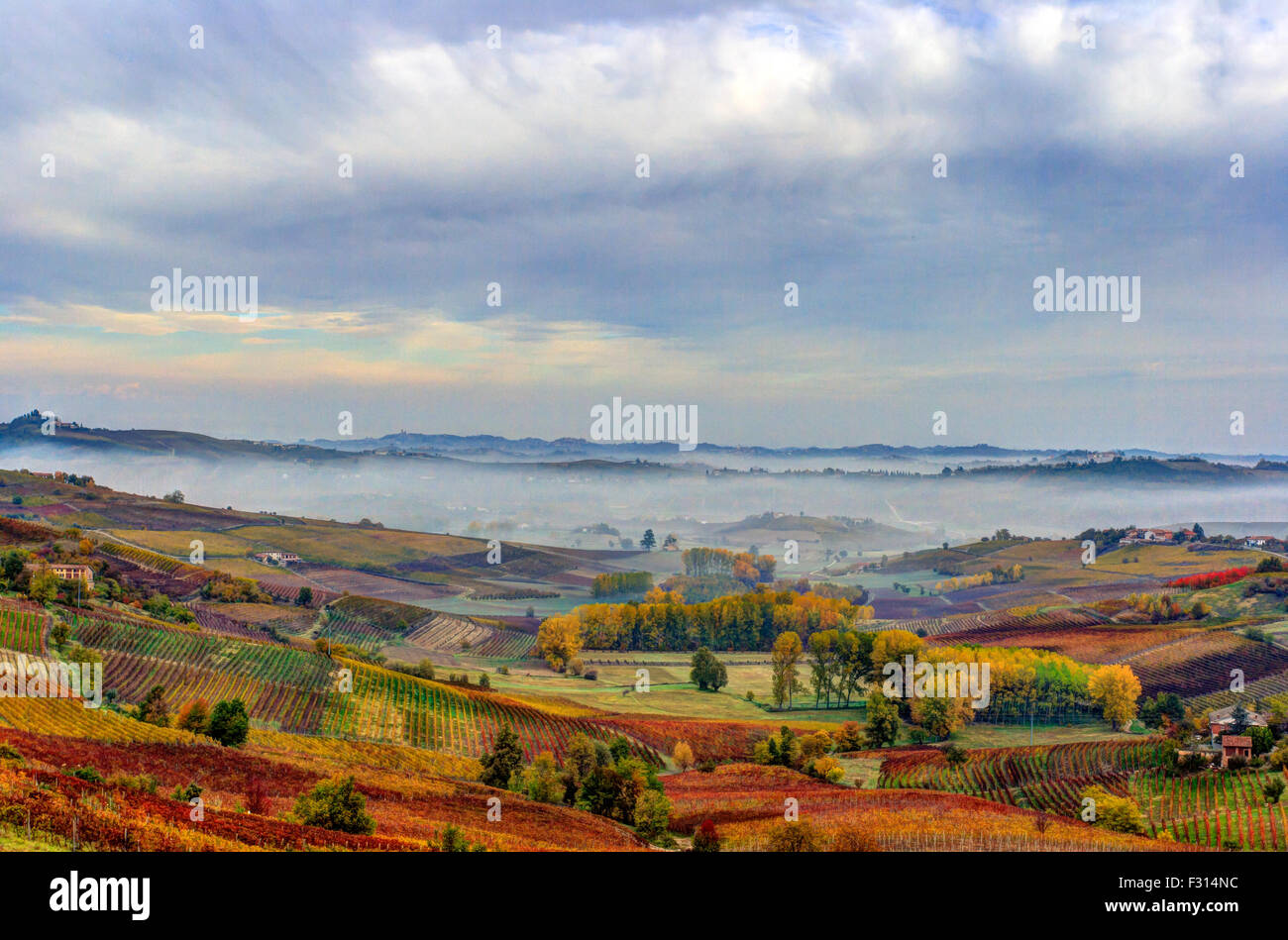Countryside around Canelli (Italy) with a bit of fog Stock Photo - Alamy