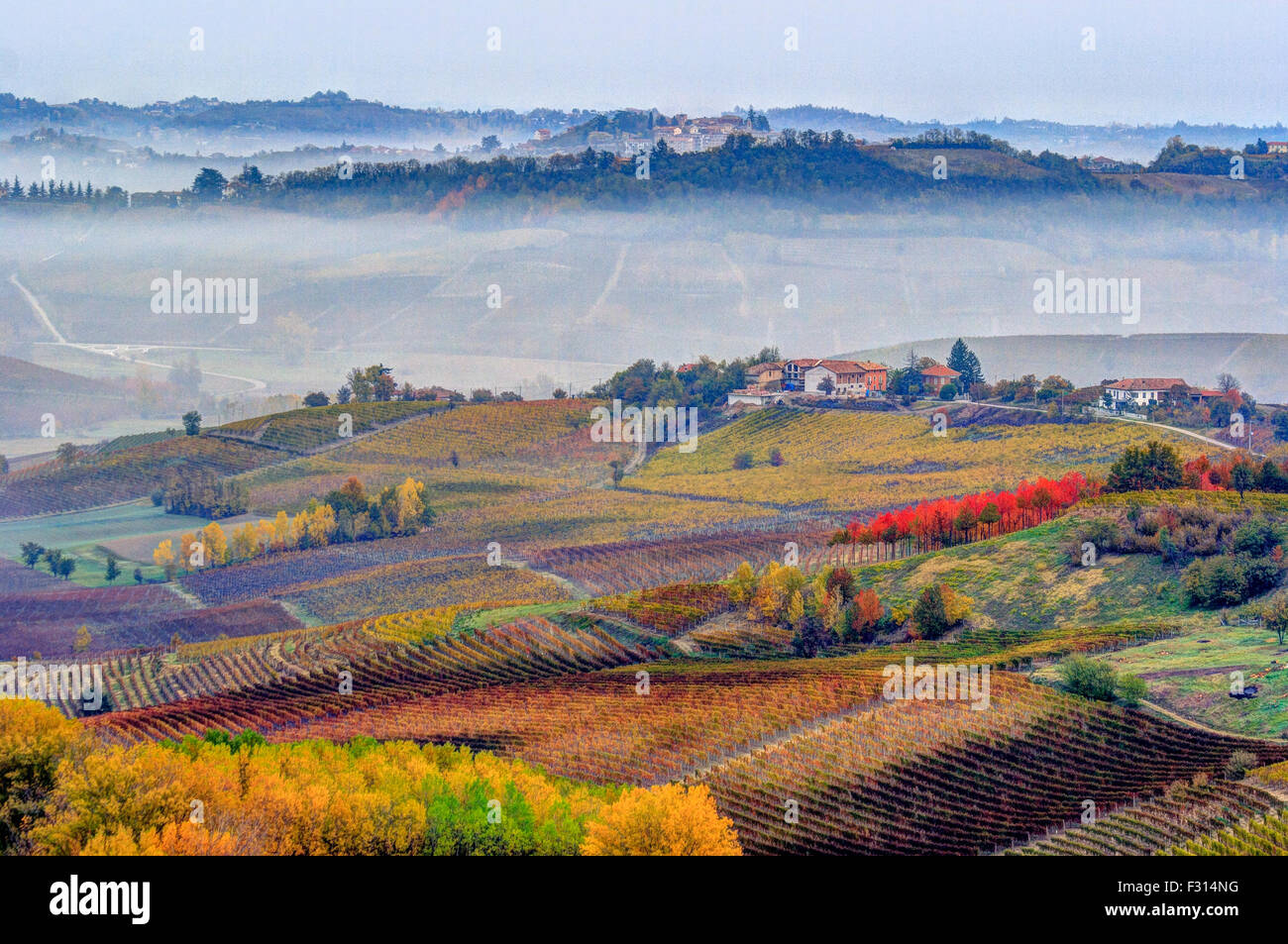 Countryside around Canelli (Italy) with a bit of fog Stock Photo - Alamy
