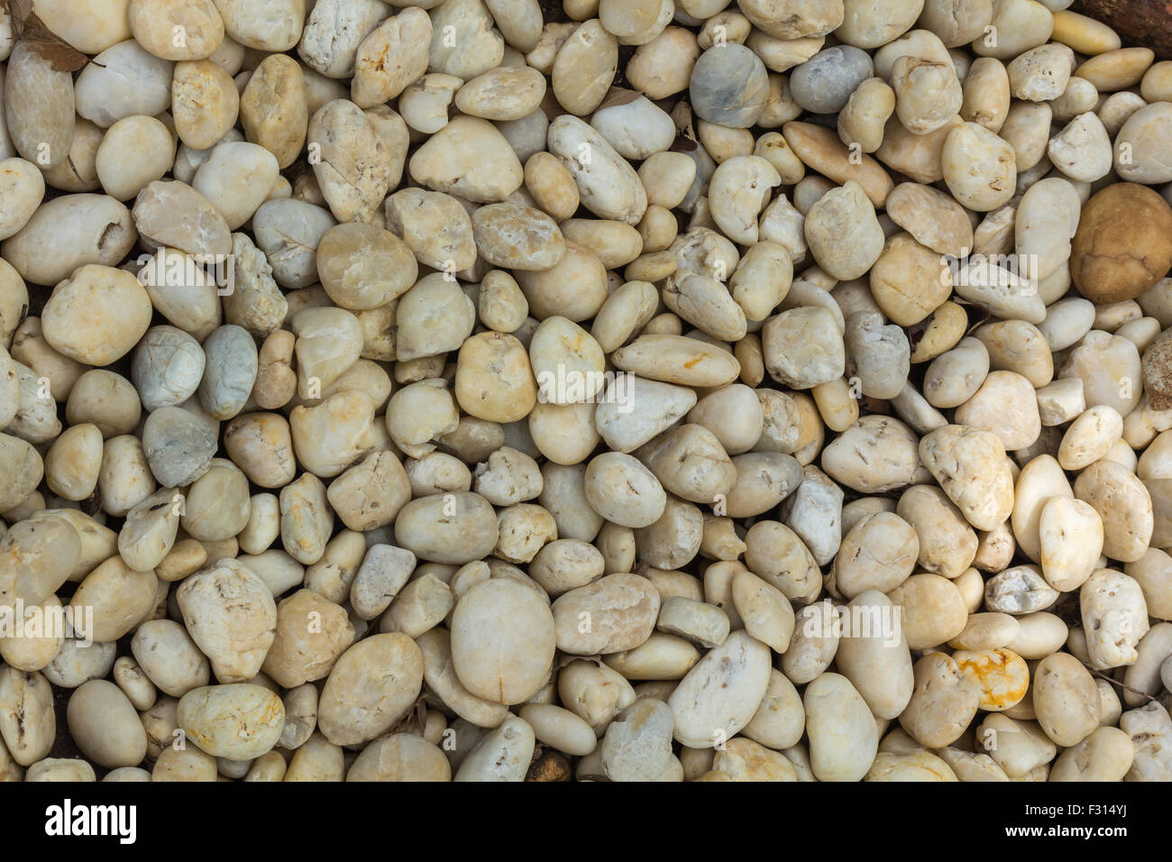Naturally polished white rock pebbles background Stock Photo - Alamy
