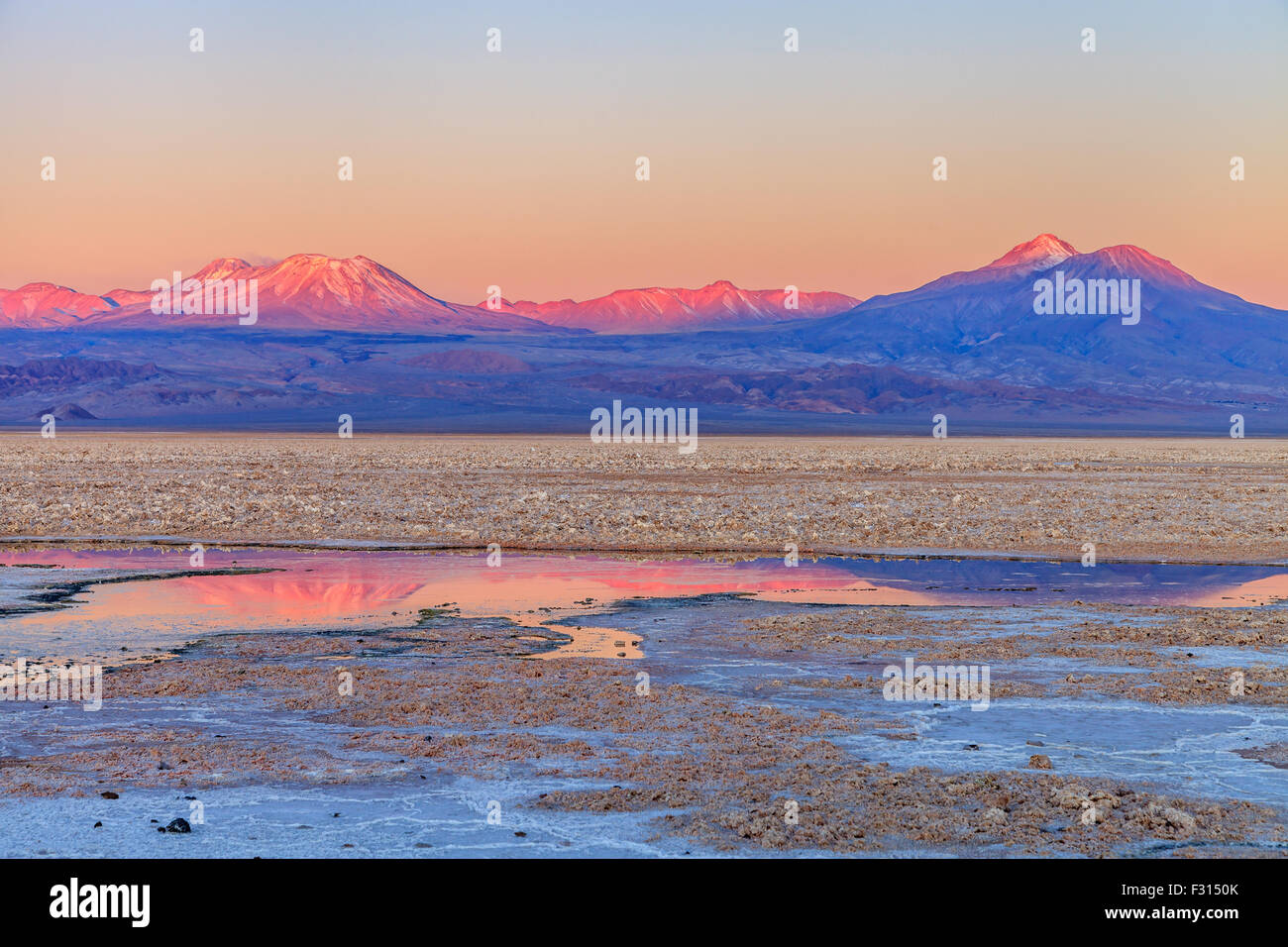 Chaxa lagoon hi-res stock photography and images - Alamy