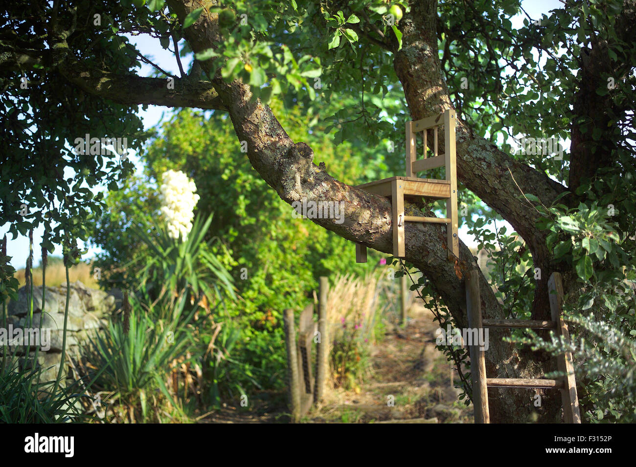Ladder up tree hi-res stock photography and images - Alamy