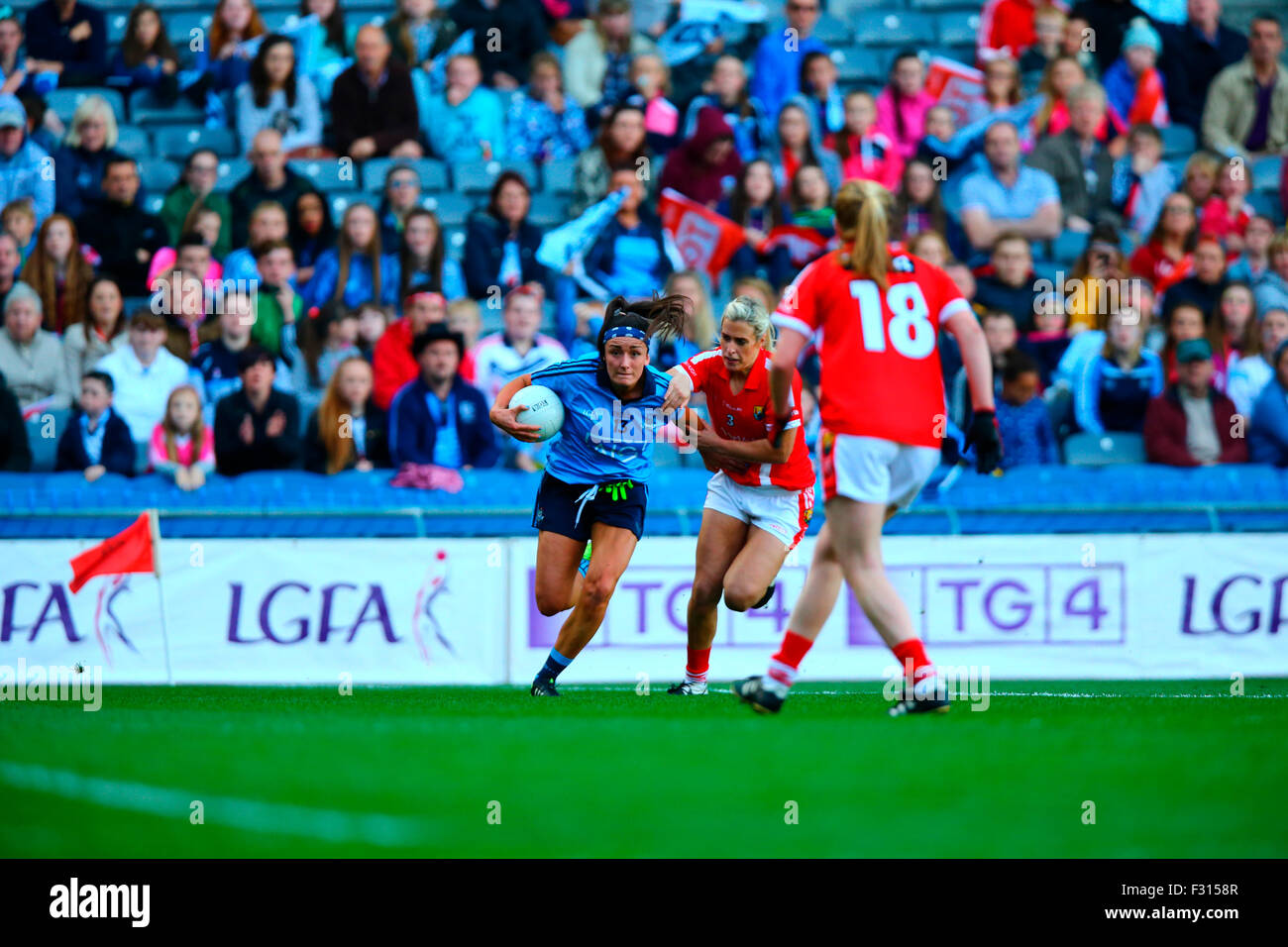 Brid stack hi-res stock photography and images - Alamy