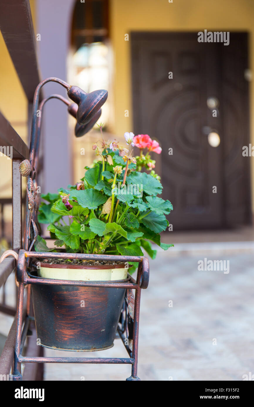 Flower in a pot landscape design outdoor Stock Photo - Alamy