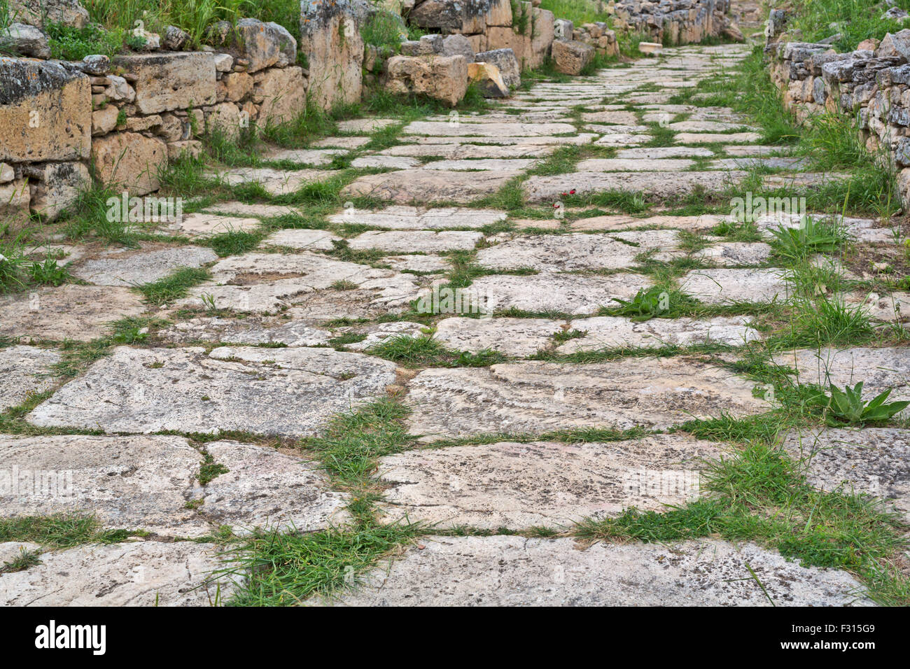 Old paved road with natural stone plates Stock Photo - Alamy