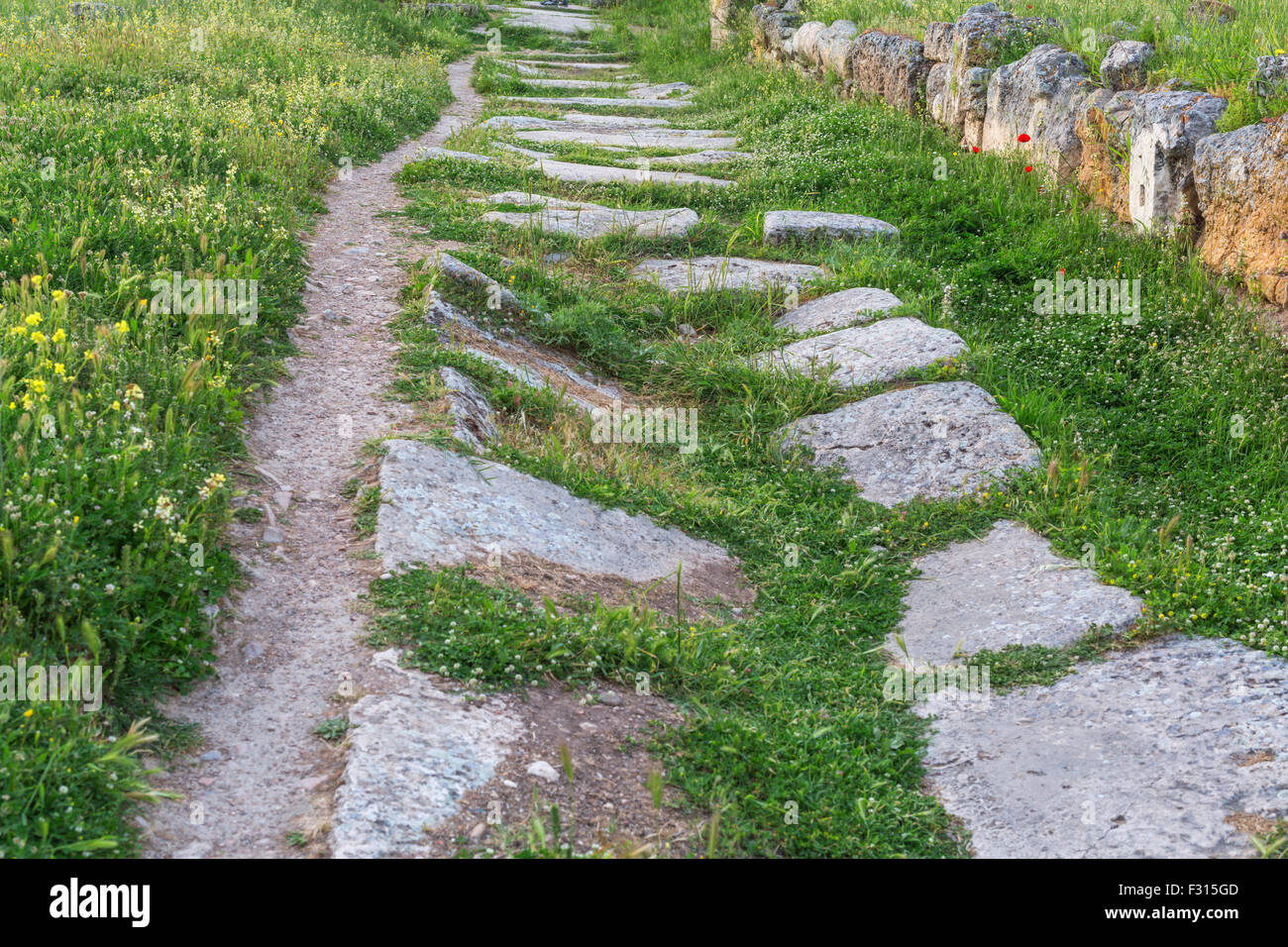 Old paved road with natural stone plates Stock Photo - Alamy