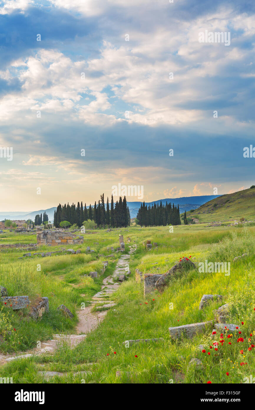 Scenery view of grass valley with road and mountains on background ...