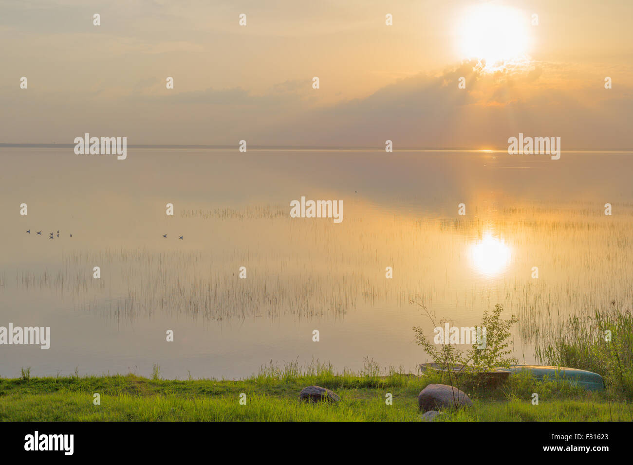 Sunset water lake coast water summer landscape Stock Photo - Alamy