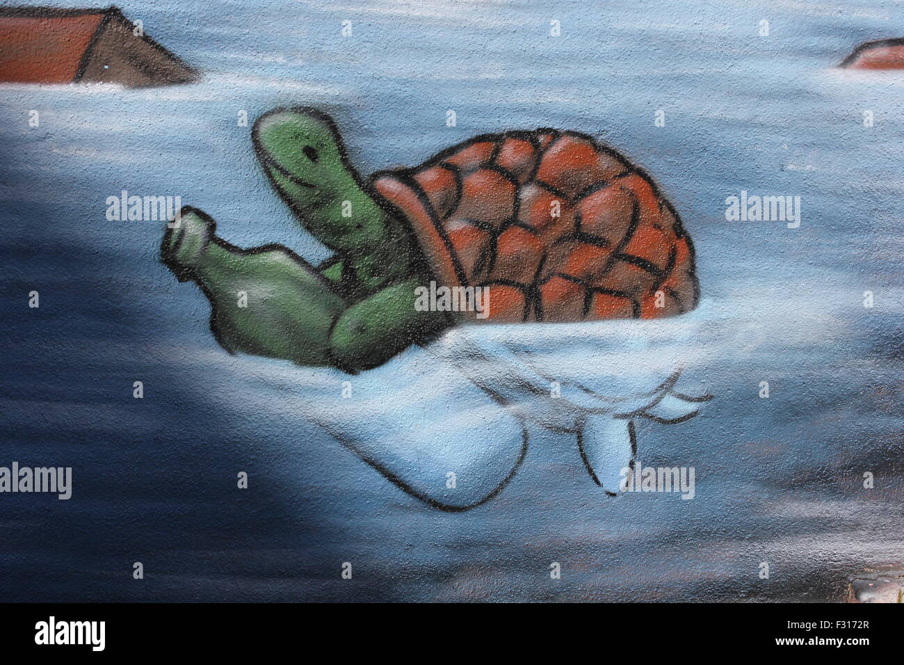 Graffiti turtle hi-res stock photography and images - Alamy
