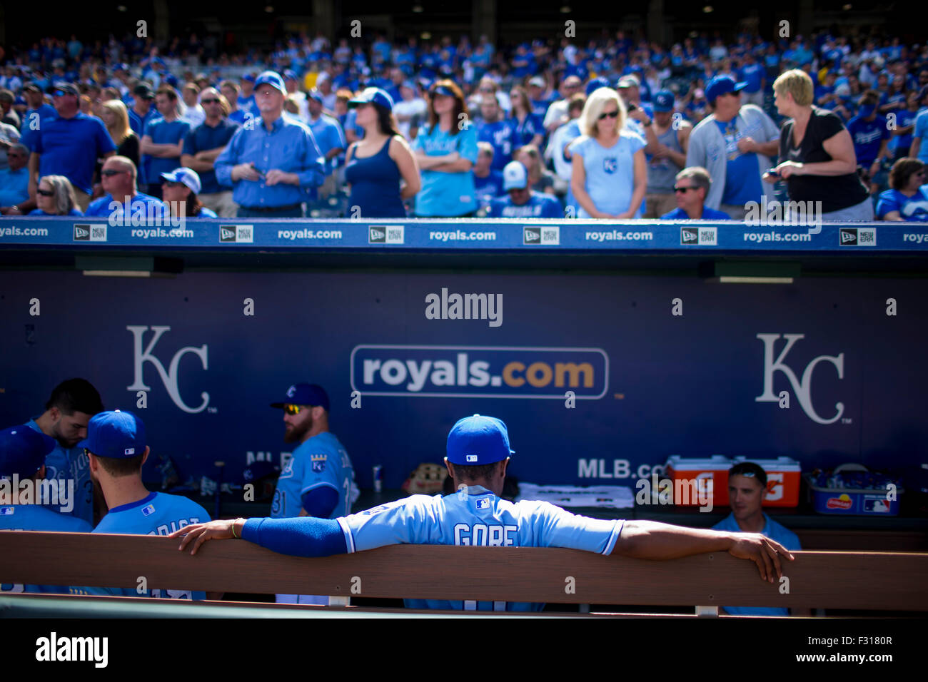 Terrance gore hi-res stock photography and images - Alamy