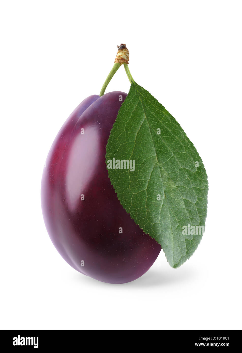 Plum isolated on white Stock Photo - Alamy