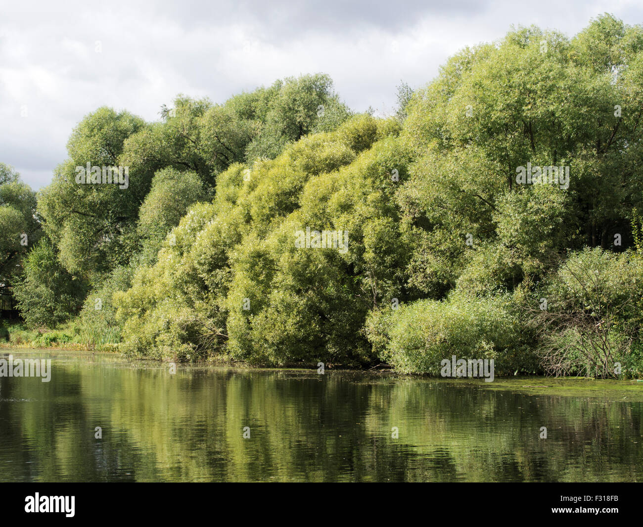 August river landscape - Moscow, Russia Stock Photo - Alamy