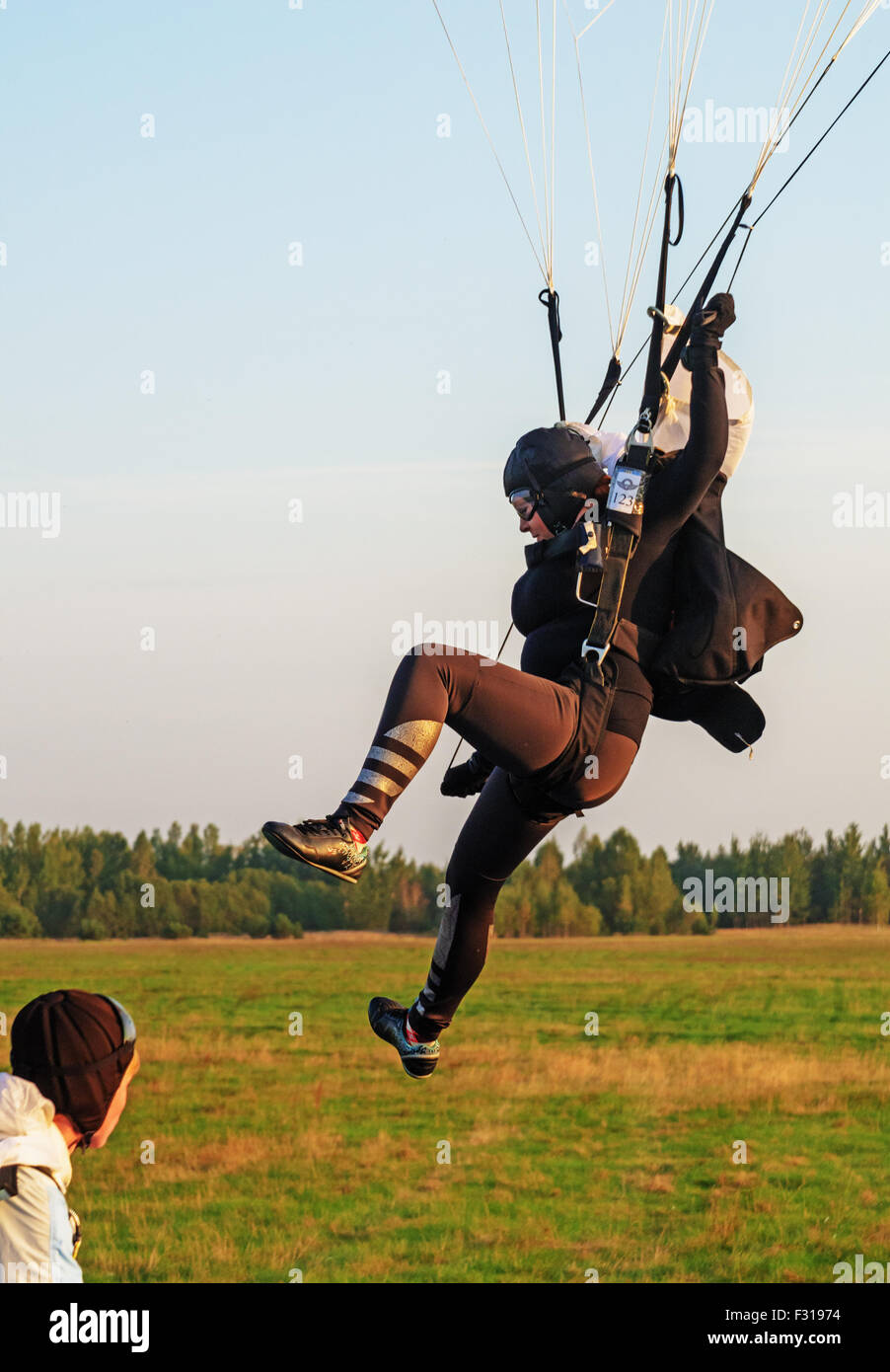 Parachutists - 2014. The skydiver landing under parachute Stock Photo ...