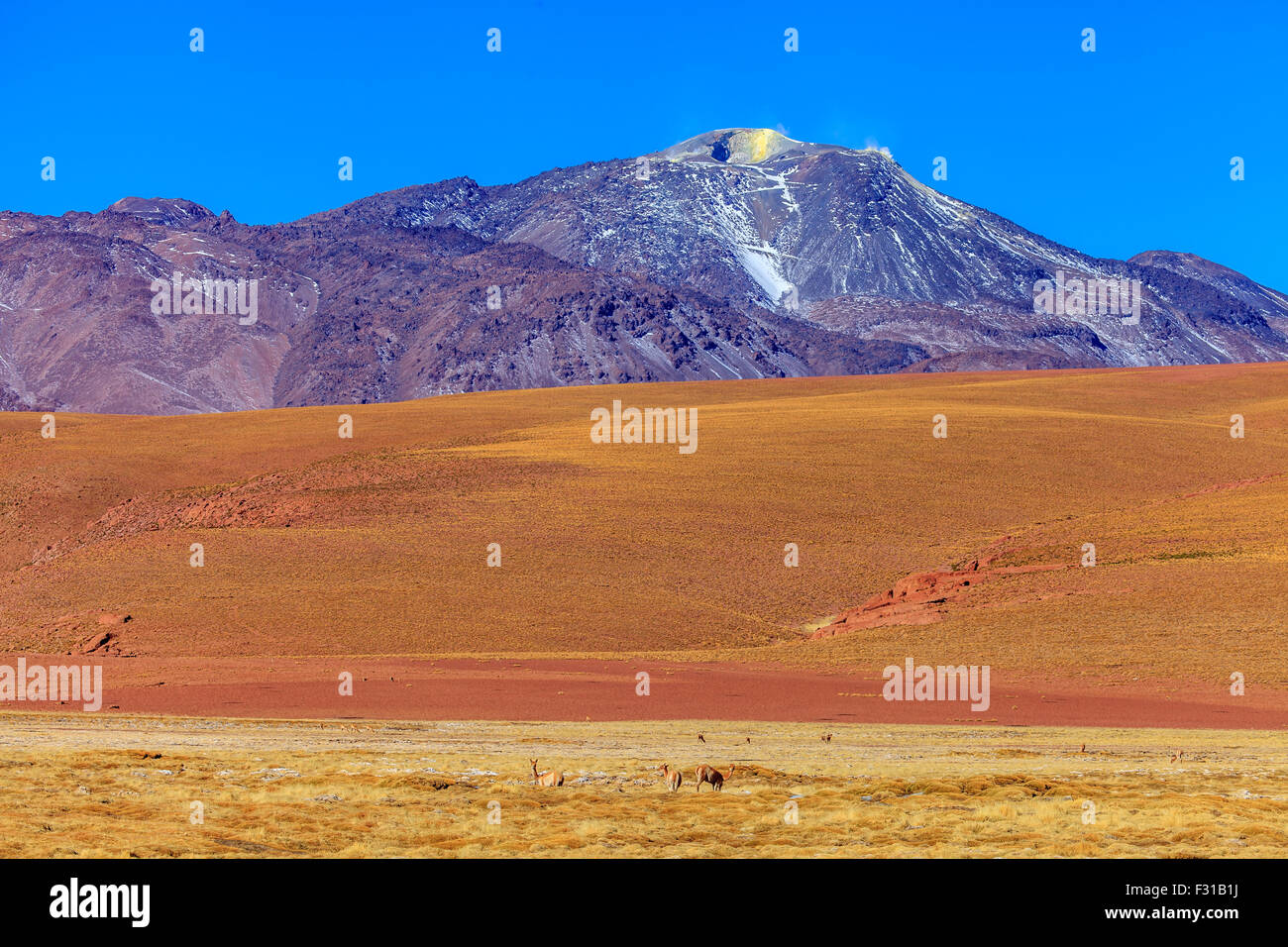Volcan colorados hi-res stock photography and images - Alamy