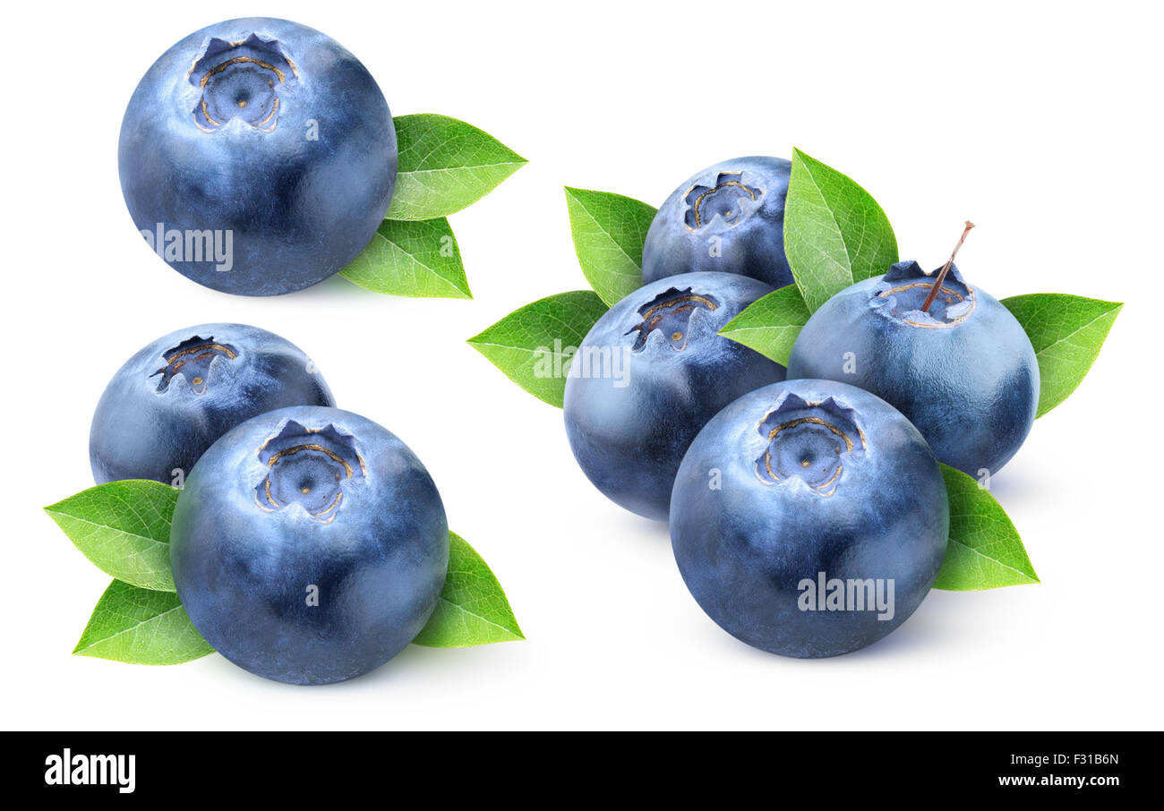 Fresh blueberries bunch leaves Cut Out Stock Images & Pictures - Alamy
