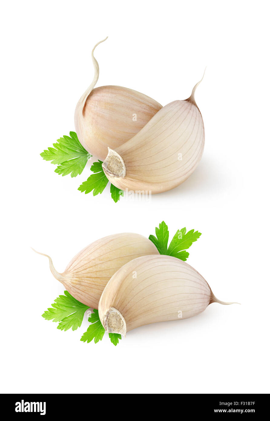 Organic raw white garlic Cut Out Stock Images & Pictures - Alamy