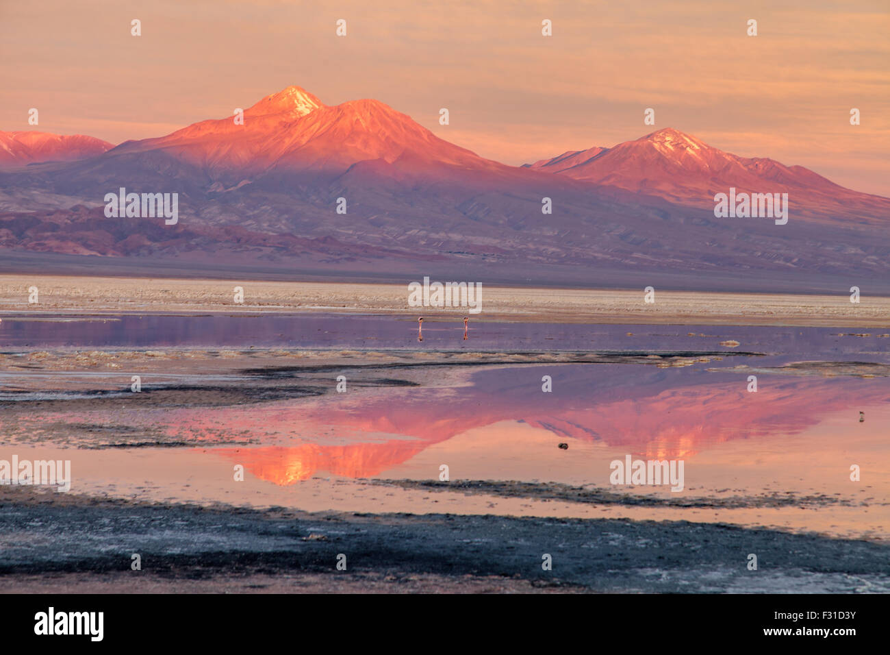 Laguna Chaxa at sunset with the reflections of the nearby volcanoes ...