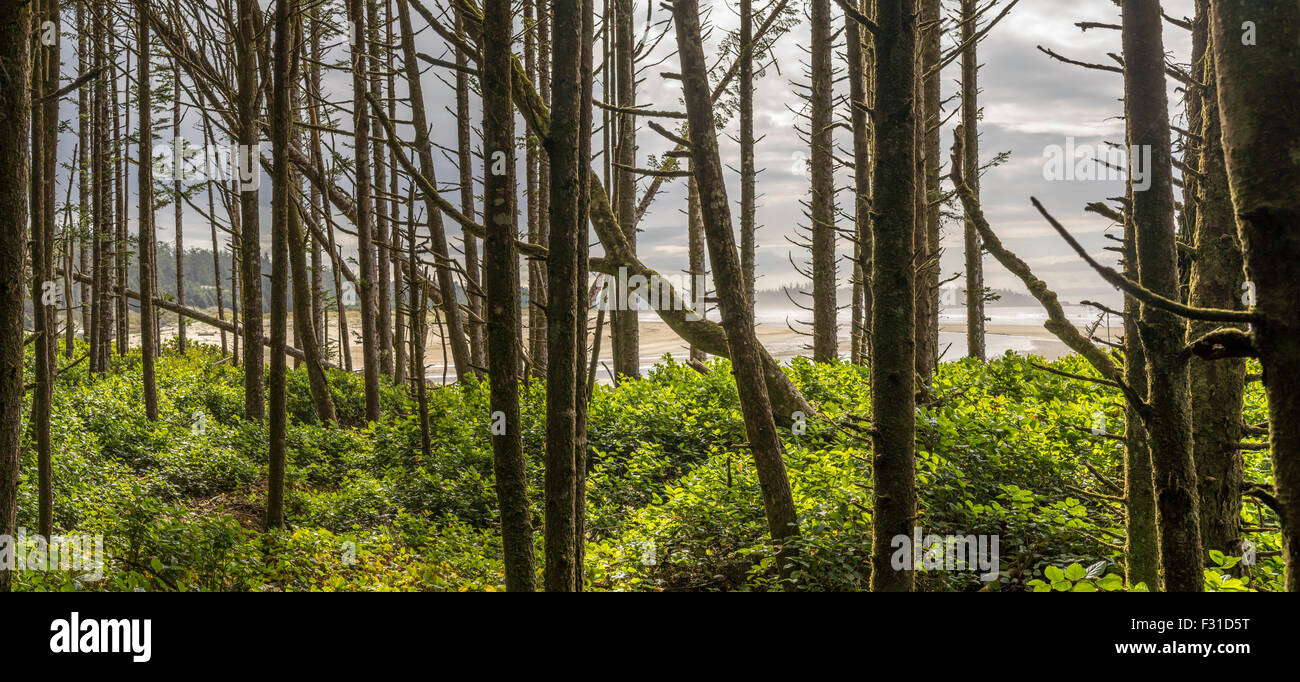 Pacific rim national park hi-res stock photography and images - Alamy