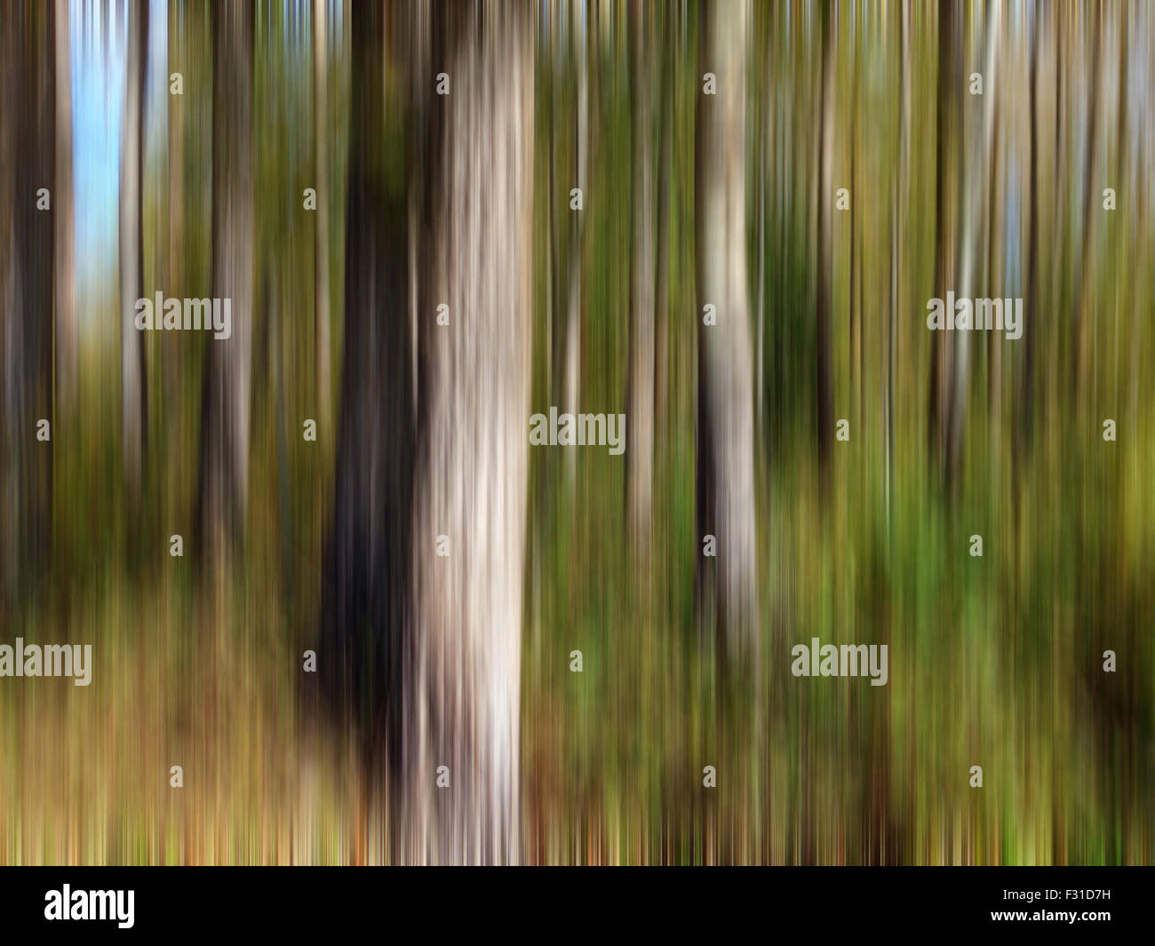 Panning on film and digital Stock Photo - Alamy